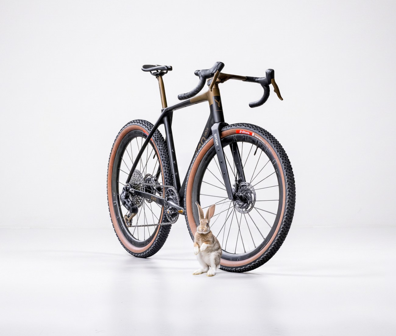 Rodeo Adventure Labs, LLC – Ride. Explore. Create. Since 2014.